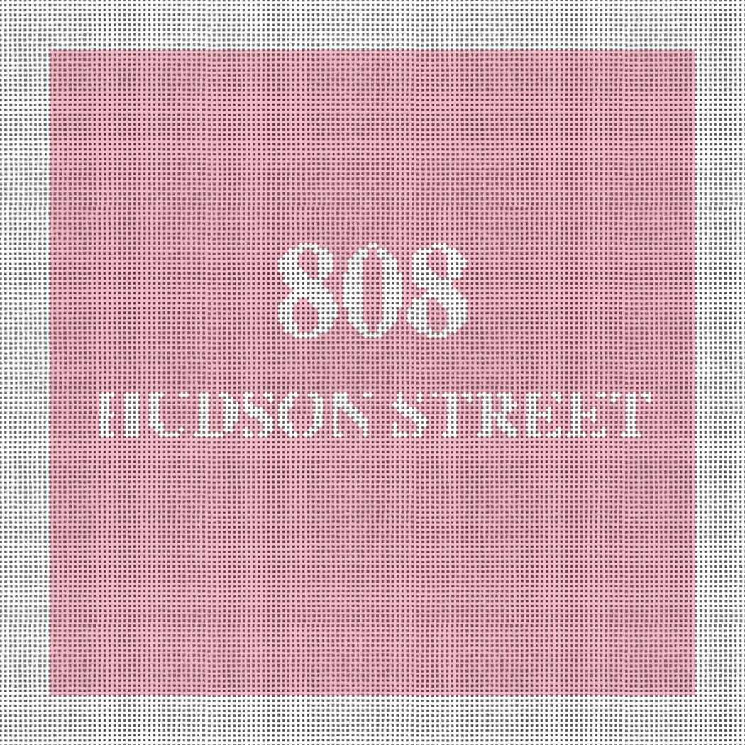 Custom Needlepoint Canvas Kit Canvas | NeedlePaint