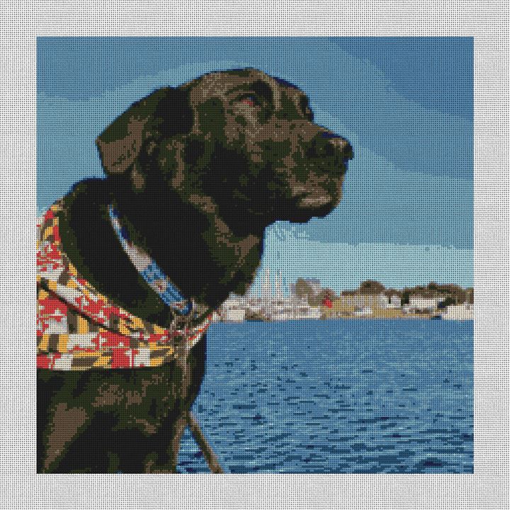 Custom Needlepoint Canvas Kit | NeedlePaint